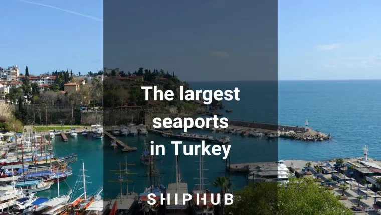 HS Code for food - everything you need to know - ShipHub